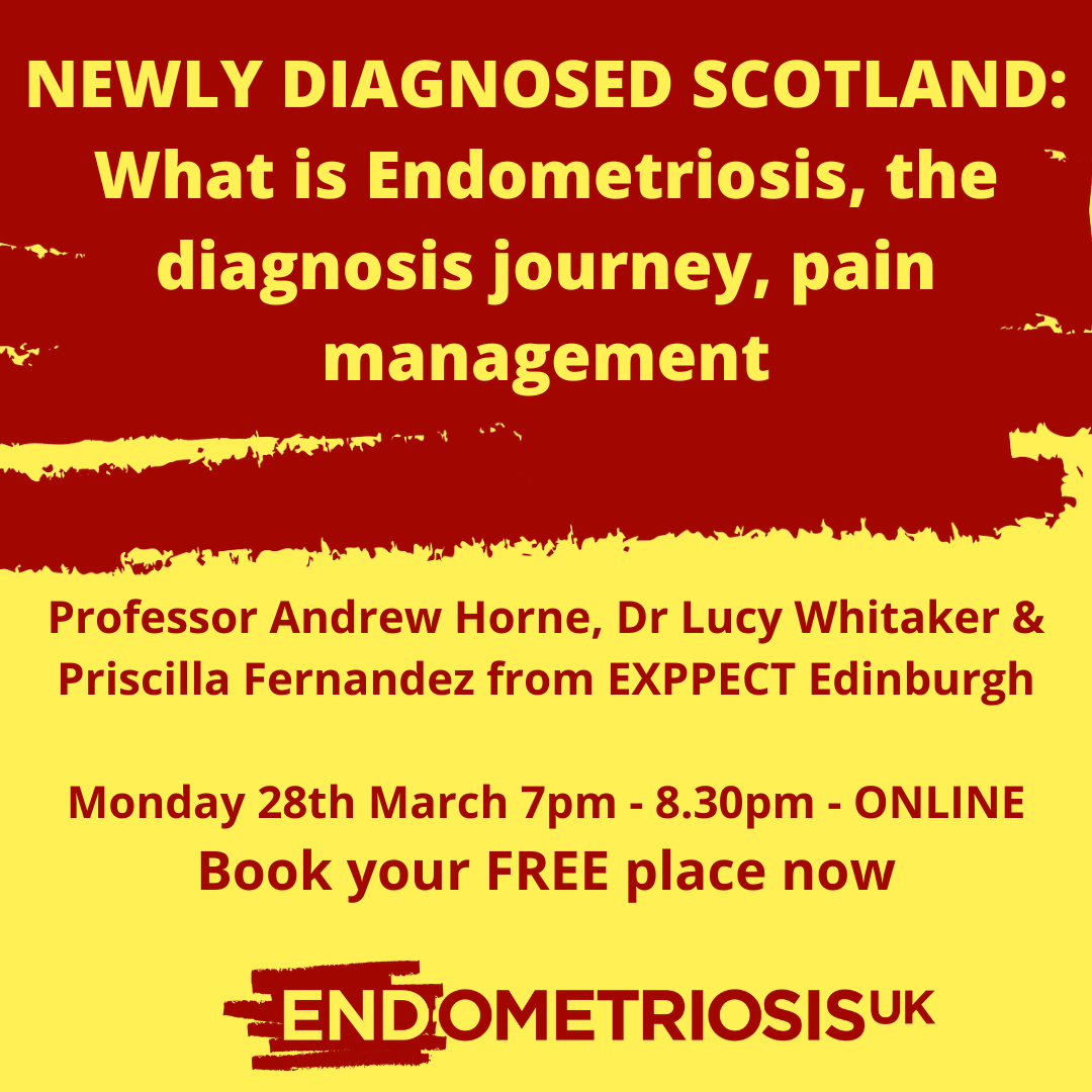Newly Diagnosed in Scotland: What is Endometriosis, The Diagnosis ...